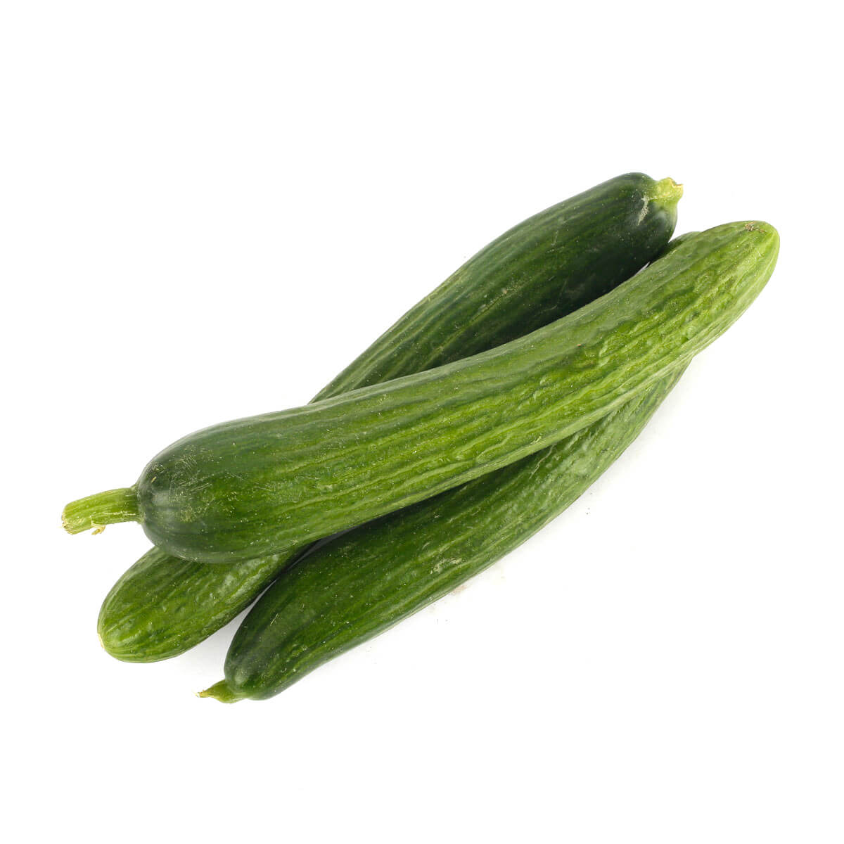 Pepino Persa Orgánica (pza) | Desiderata Tepoztlán